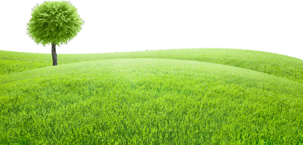 #paisaje #pasto - High Resolution Grass Field, HD Png Download - pasto ...