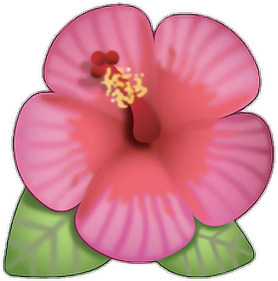 Emoji Flower Png | Best Flower Site