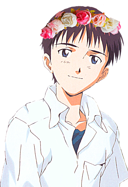 Shinji Transparent