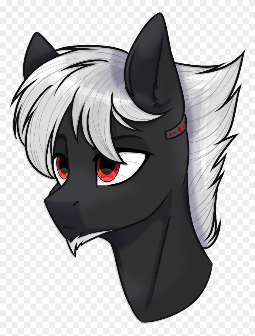 Pony Boy Oc