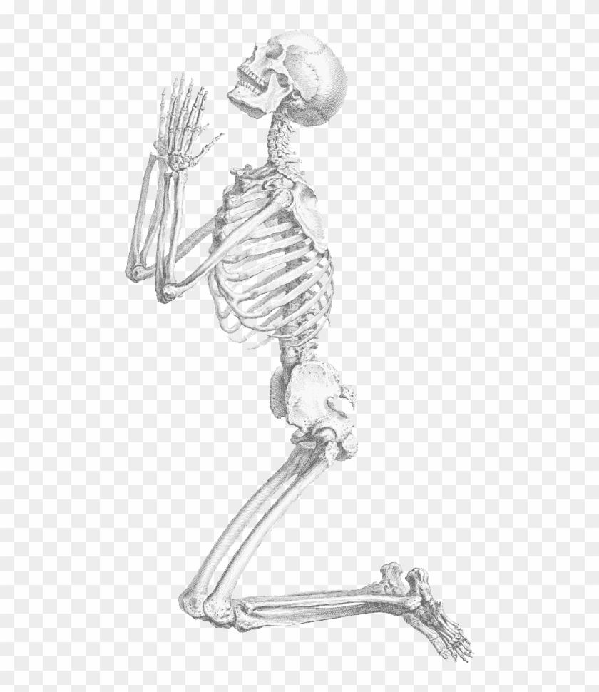 Halloween Skeleton Transparent Background - Skeleton With No Background ...