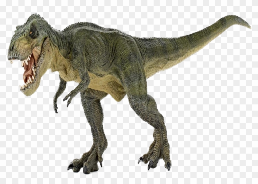 T Rex Transparent Images Png - Rhinosaurus Rex, Png Download - 1032x774 ...