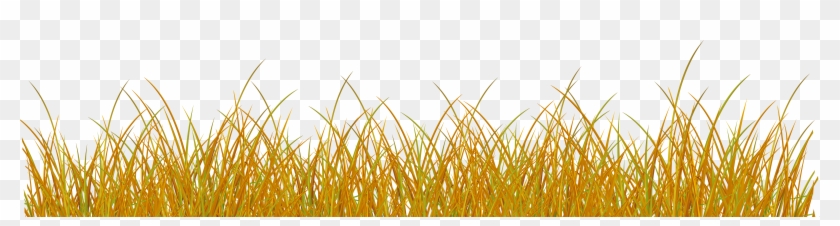 Autumn Grass Clipart, HD Png Download - 8000x1952(#17296) - PngFind