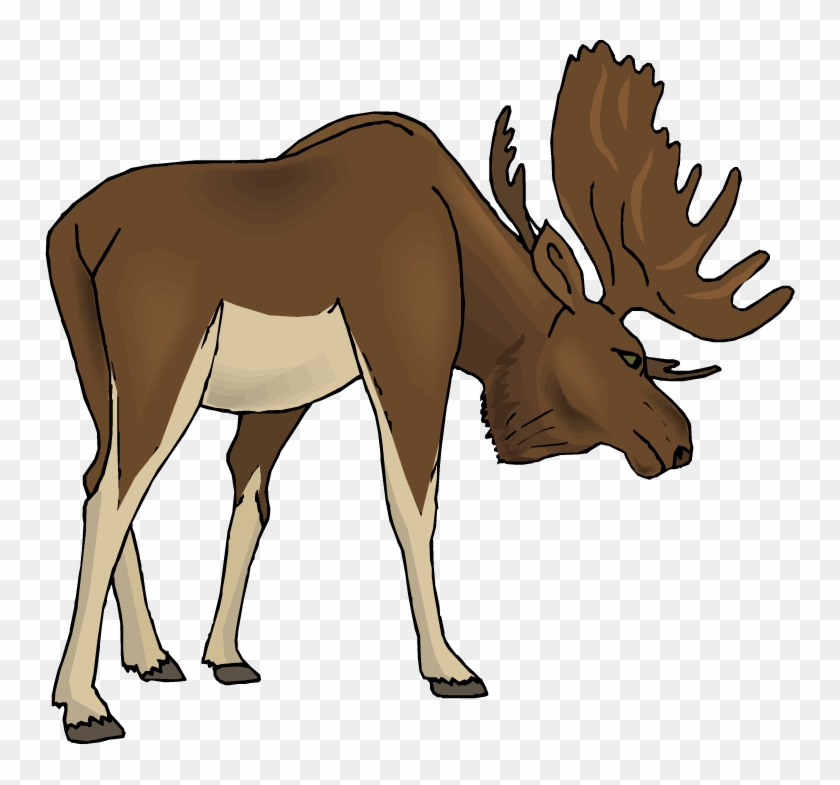Moose Cartoon Images Hd Photo - Cartoon Moose, HD Png Download ...