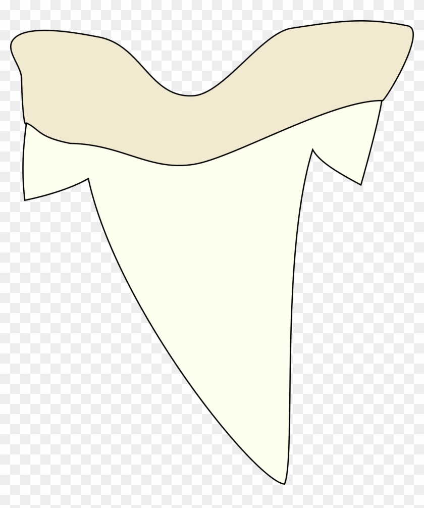 This Free Icons Png Design Of Shark Tooth, Transparent Png - 2086x2400 ...