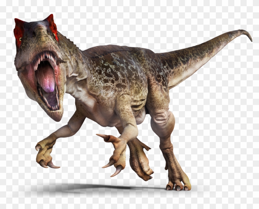 Dinosaurs Png - Allosaurus Dinosaur, Transparent Png - 1119x840 ...