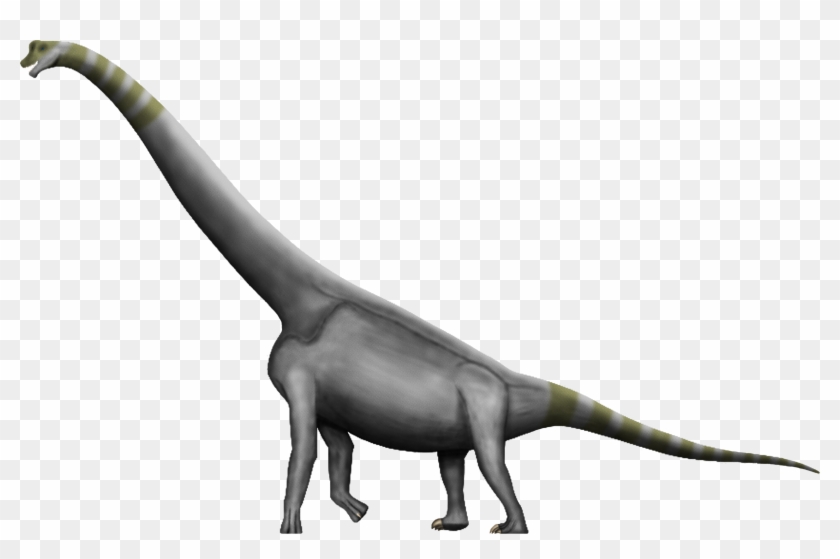 Png Images Free Download Pngmart Com Brachiosaurus - Brachiosaurus Png ...
