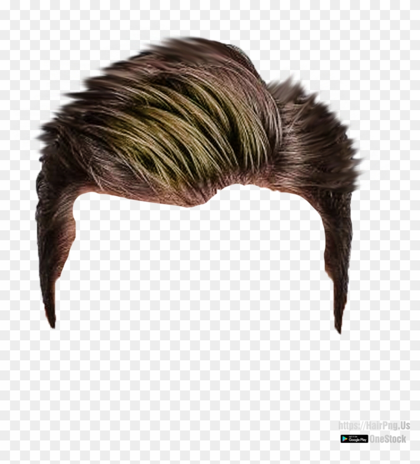 Hog Png - Hair Style Png, Transparent Png - 1200x1200(#1041991) - PngFind