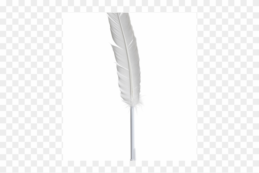 Quill Clipart Kalam - Feather Pen, HD Png Download - 640x480(#1050622 ...