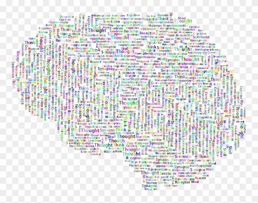 Medium Image - Word Cloud Brain Png, Transparent Png - 764x583(#1066151 ...