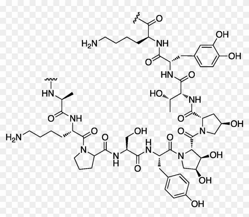 Chemistry Png - Chemistry Image Png, Transparent Png - 1160x953 ...