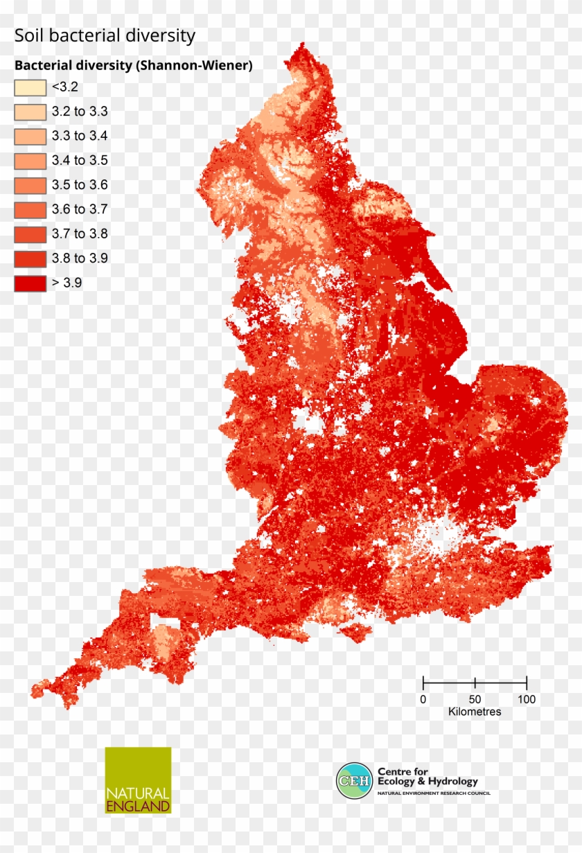 Major Trauma Centres Map, HD Png Download - 3498x5000(#1073577) - PngFind
