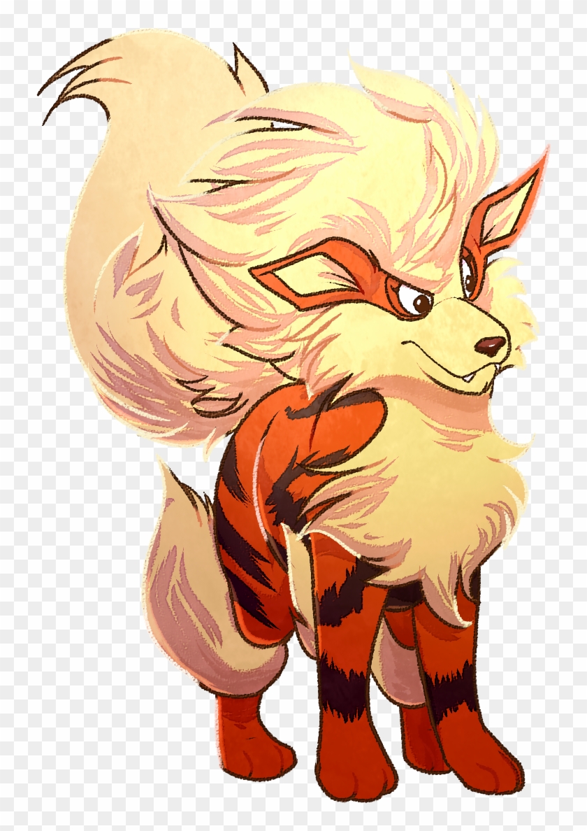 Arcanine Fluff - Cartoon, HD Png Download - 737x1108(#111364) - PngFind