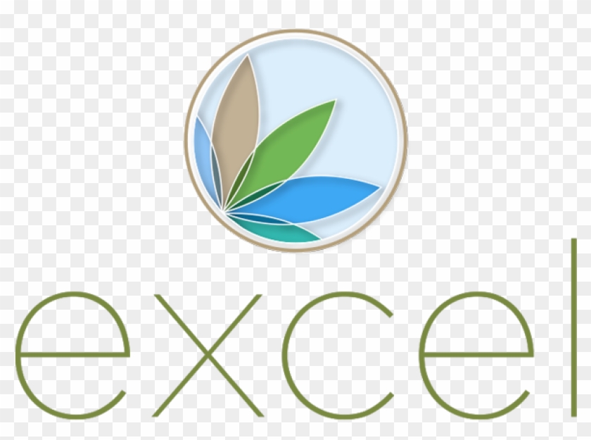 Logo-excel, HD Png Download - 1536x1536(#111547) - PngFind