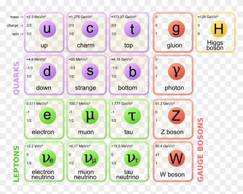 The Standard Model Of Elementary Particles - Standard Model Of Particle ...