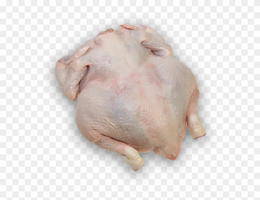 Turkey Meat , Png Download, Transparent Png - 578x568(#1137525) - PngFind