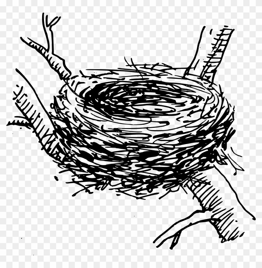 Medium Image - Crow Nest Clipart, HD Png Download - 800x780(#1138682 ...