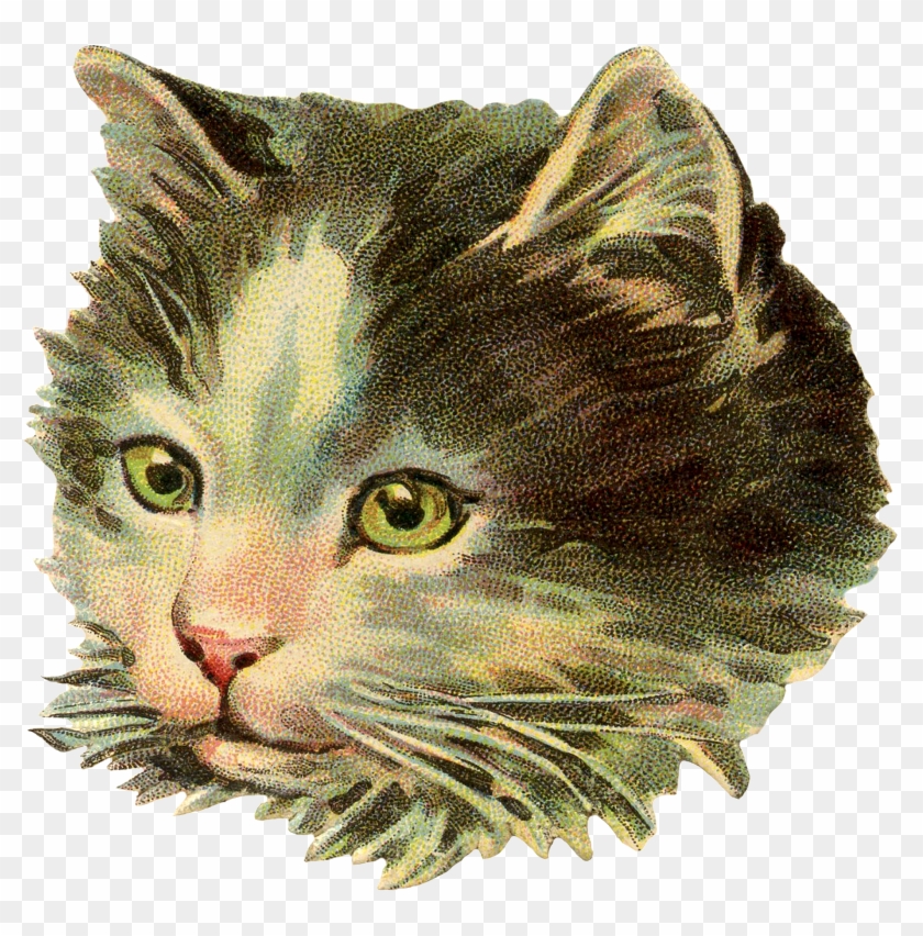 Vintage Kitty Head Scrap - Vintage Cat Illustration, HD Png Download ...