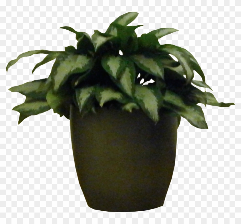 Potted Houseplants - Potted Plant For Photoshop, HD Png Download ...