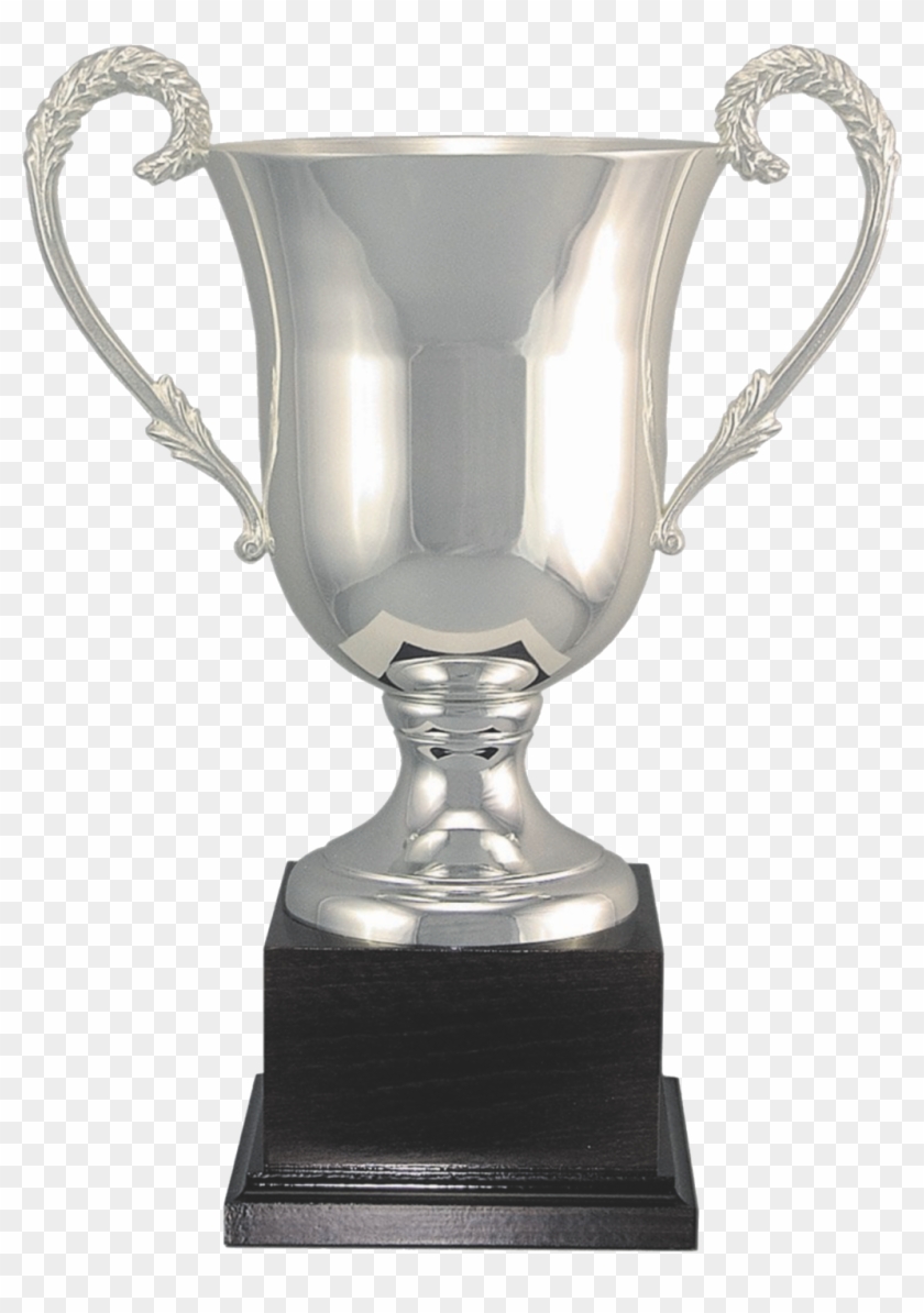 Kisspng Trophy Silver Award Cup Commemorative Plaque - Trophy Silver ...