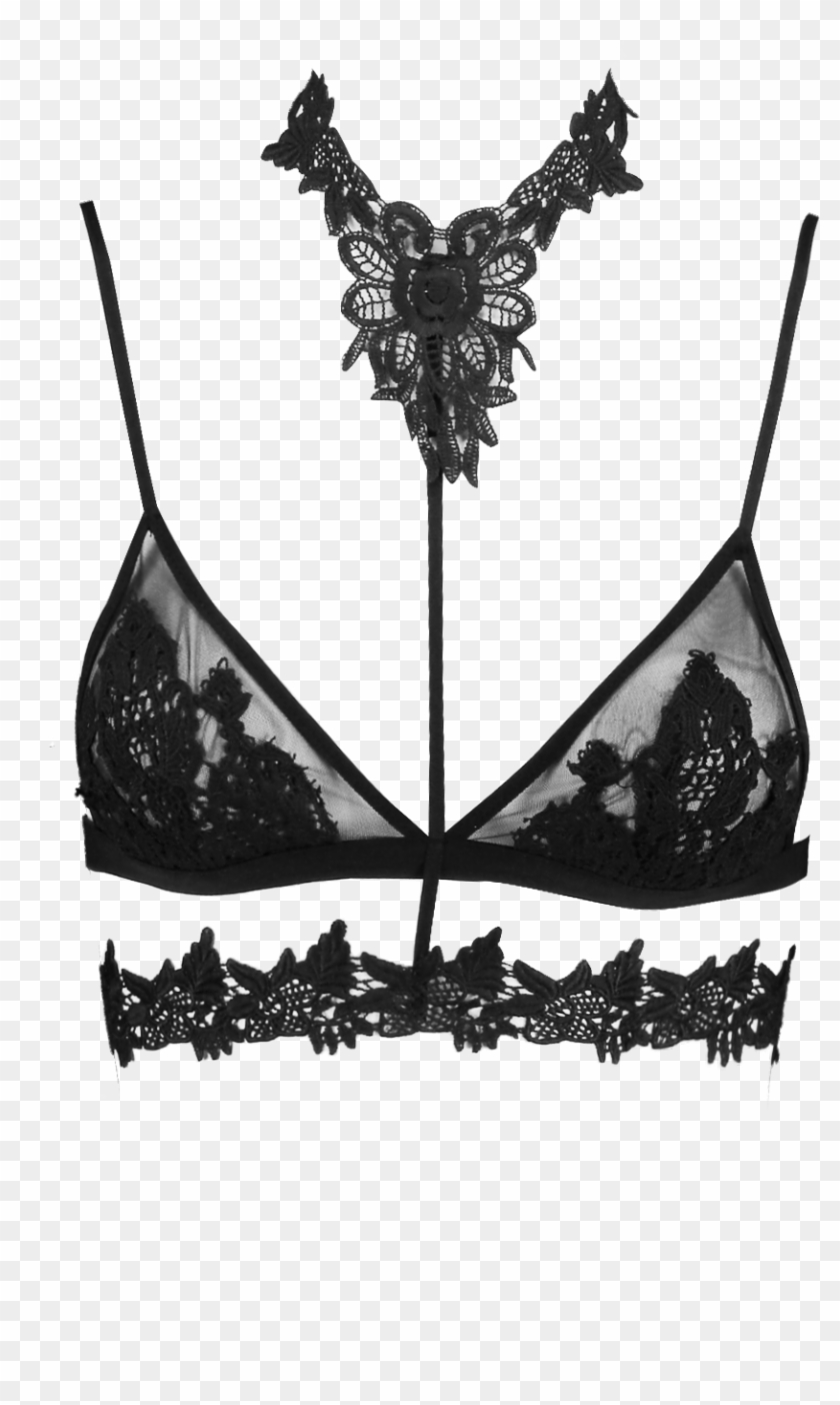 Lace , Png Download, Transparent Png - 835x1324(#1181195) - PngFind