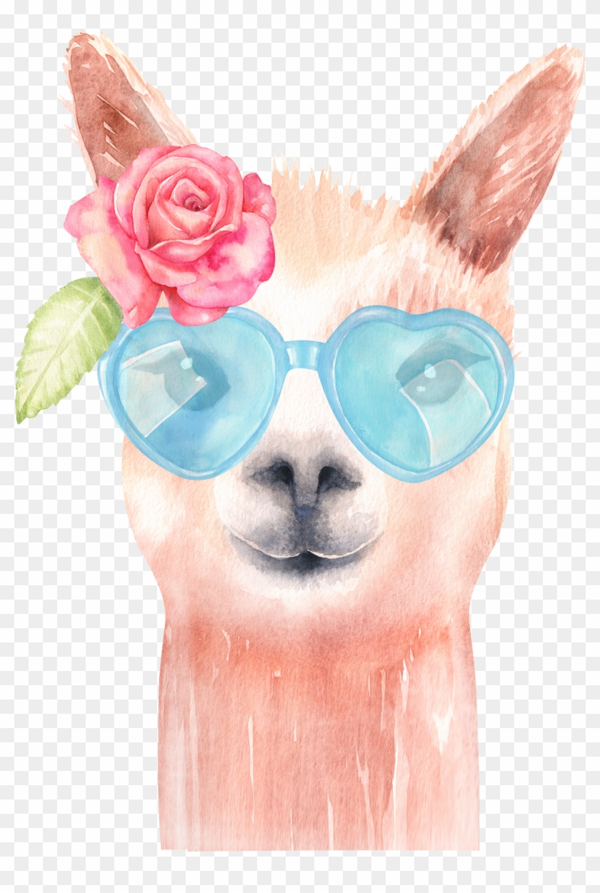 Llama Watercolor/ Llama Clipart/ Llama Graphics/ Watercolor ...