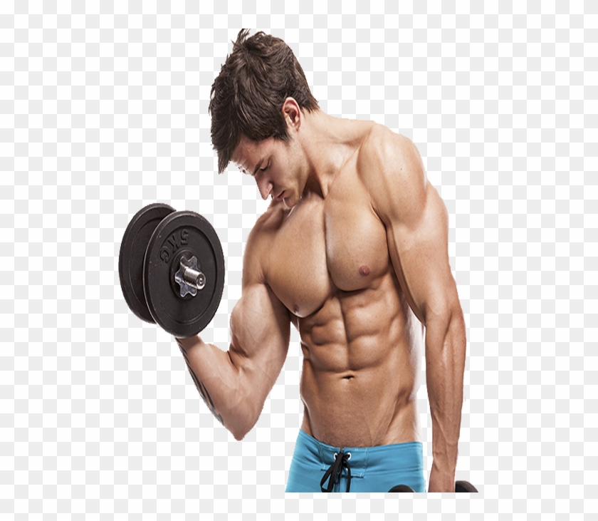 Img01 - Zym Body, HD Png Download - 507x651(#1192442) - PngFind