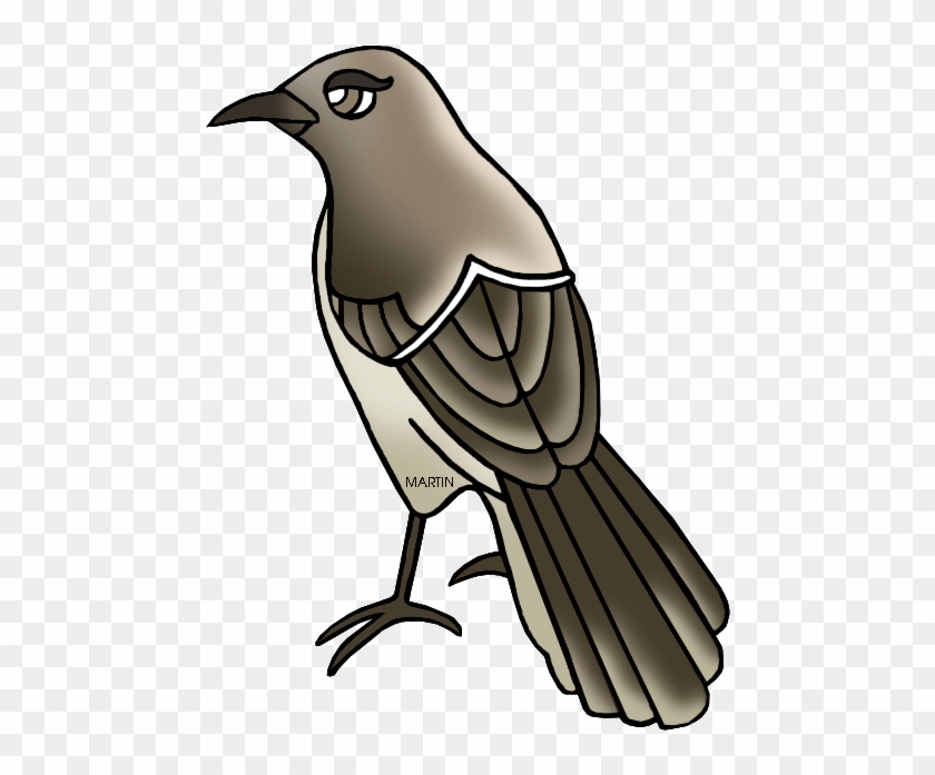 Black And White Stock United States Clip Art By Phillip - Texas State ...