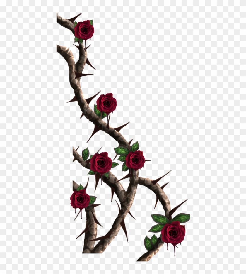 Roses Sticker - Thorns Png, Transparent Png - 1024x1024(#129328) - PngFind