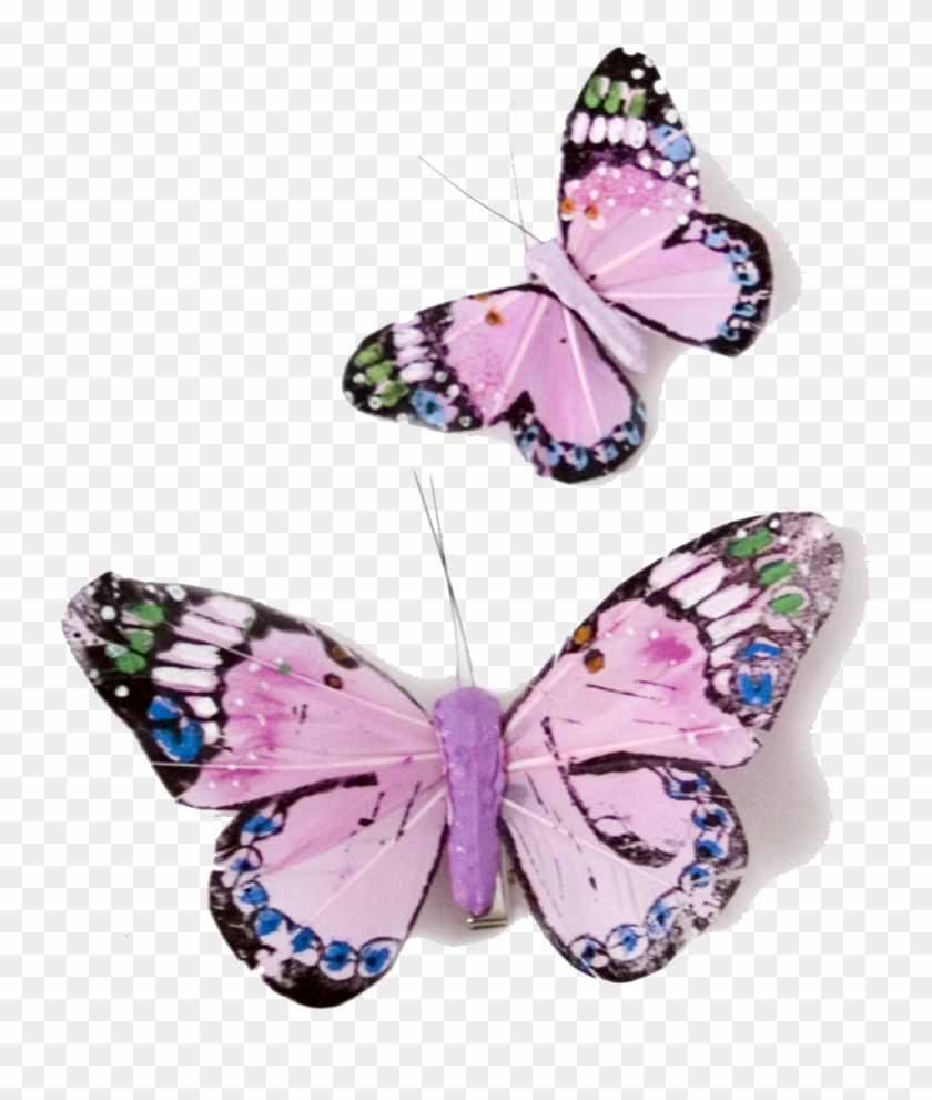 Pink Butterfly Transparent Png - Transparent Pink Butterflies, Png ... Pink Butterfly Transparent Png - Transparent Pink Butterflies, Png ...