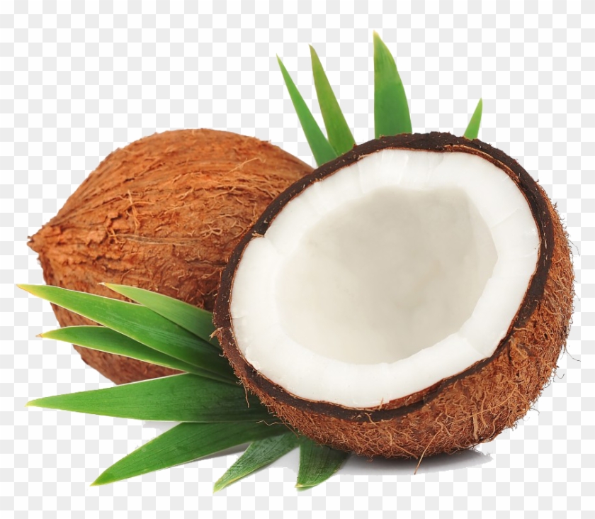 Coconut Transparent File - Coconut Mature, HD Png Download - 1024x842 ... Coconut Transparent File - Coconut Mature, HD Png Download - 1024x842 ...