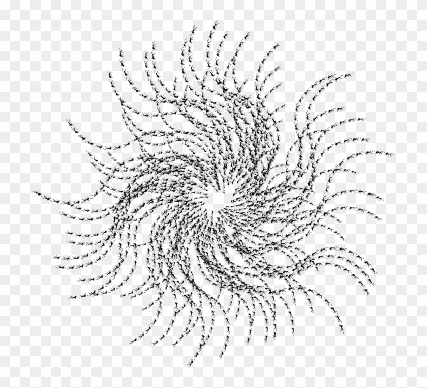 Medium Image - Line Art, HD Png Download - 714x682(#1219428) - PngFind