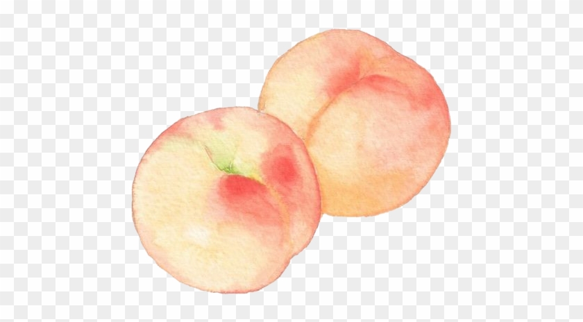 Peach Drawing Png - Apple, Transparent Png - 632x641(#1220707) - PngFind
