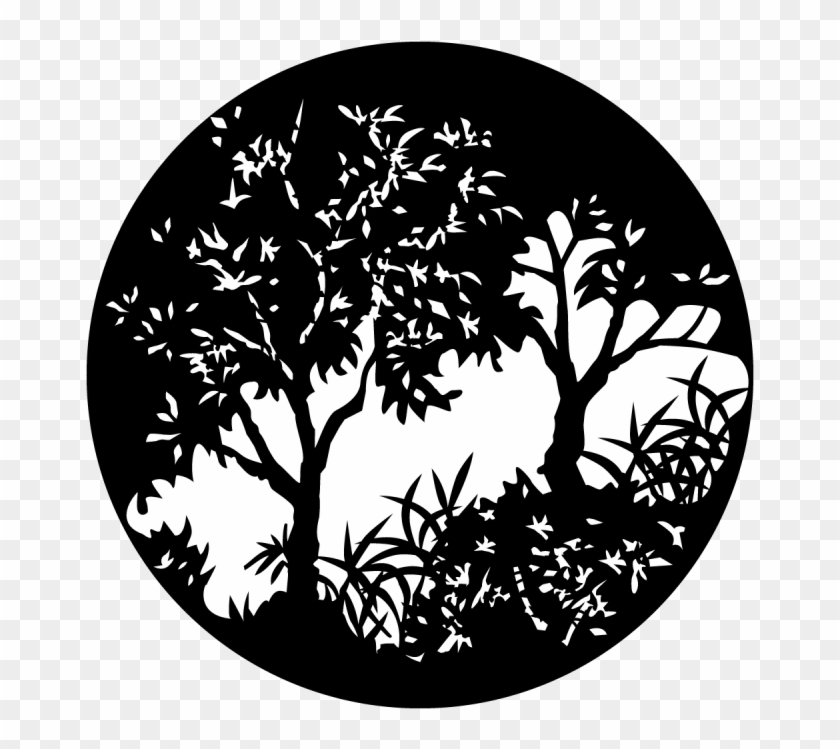 Trees With Foliage - Gobo Images Of Trees, HD Png Download - 800x800 ...