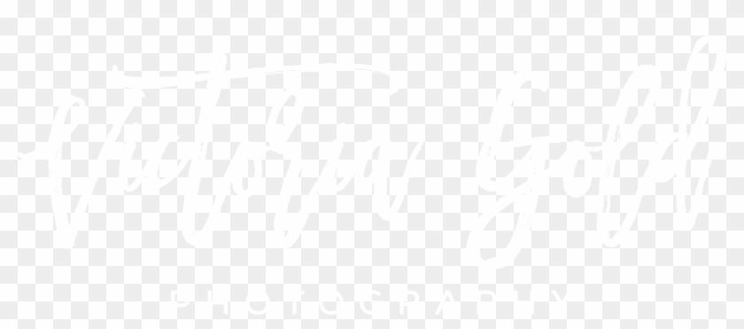 Victoria Gold Photography - Human Heart Paper Mache, HD Png Download ...