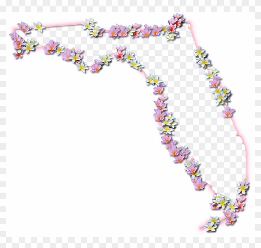 Florida Fancy Frame Style - Florida Map With Flowers, HD Png Download ...