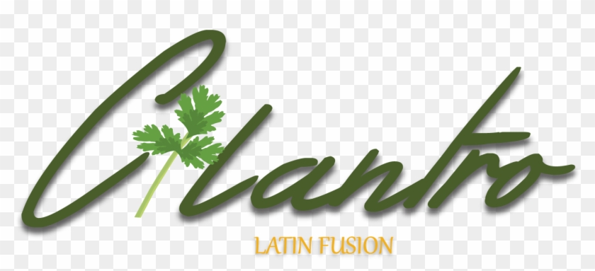 Cilantro Restaurant Stamford , Png Download - Cilantro Restaurant ...