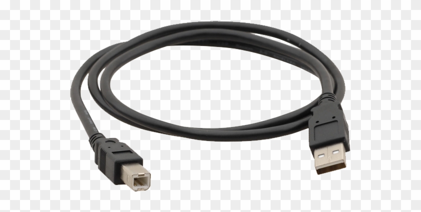 Cabo Usb Png - Usb Type B Cable, Transparent Png - 600x600(#1273375 ...