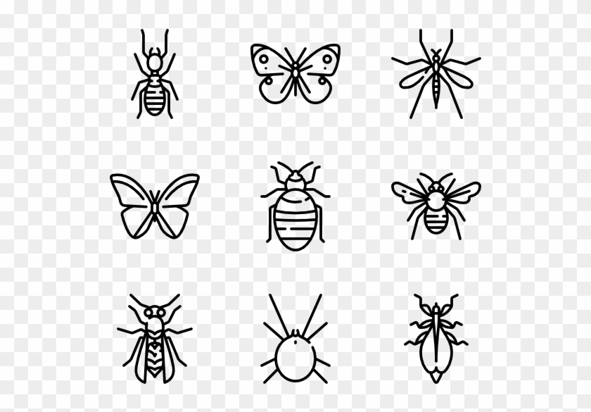 Insects - Insects Png Black And White, Transparent Png - 600x564 ...