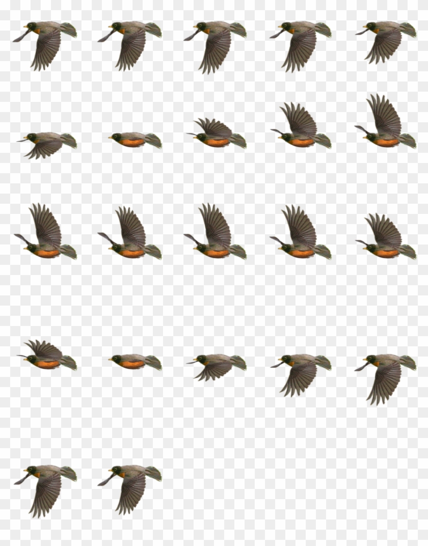Science & Math - Bird Sprite Sheet, HD Png Download - 1200x1570(#131781 ...