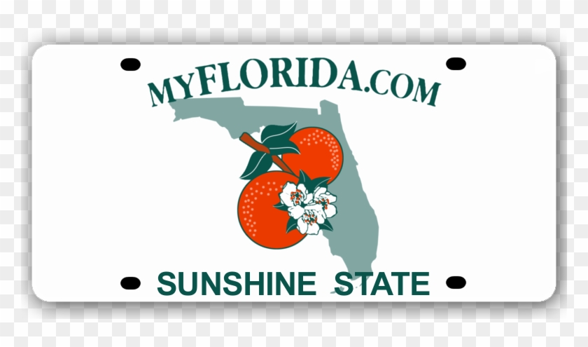 Blank Florida License Plate Template Digiscrapru
