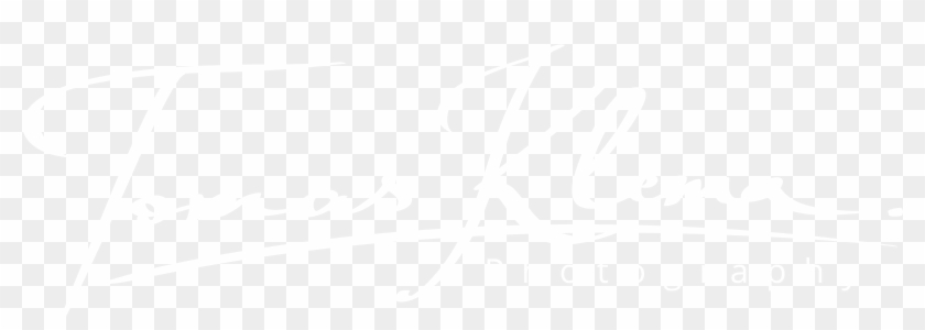 Logo - Tiff Logo White, HD Png Download - 4961x3508(#1336200) - PngFind