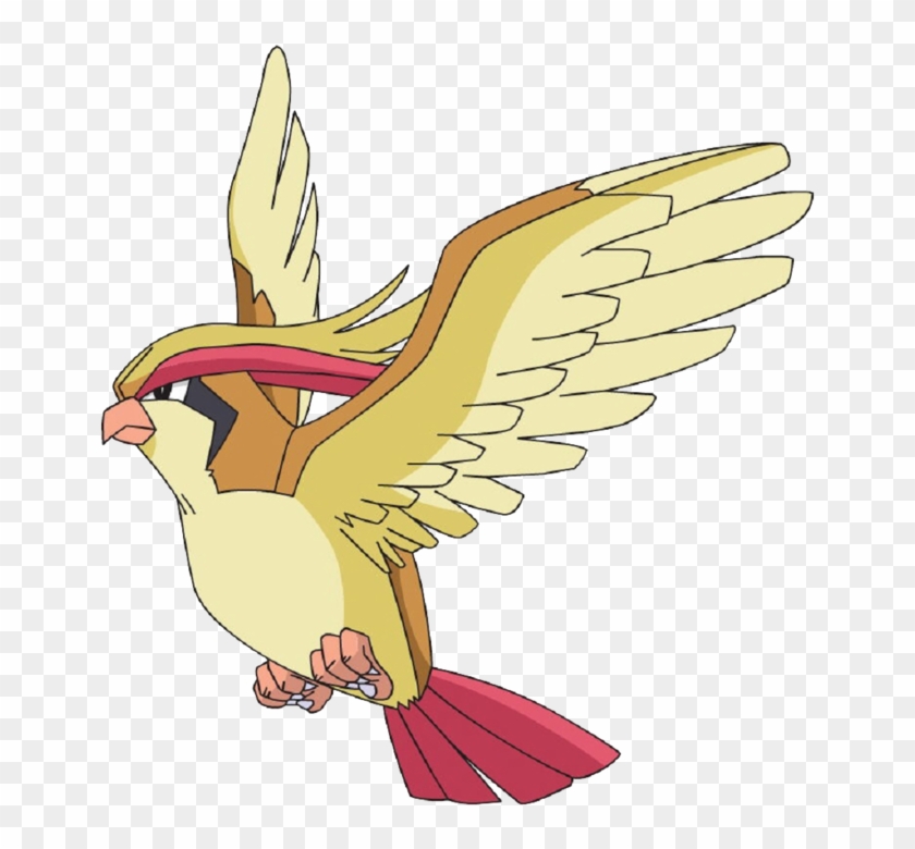 Pidgeot, - Pidgeot Png, Transparent Png - 900x900(#1359890) - PngFind