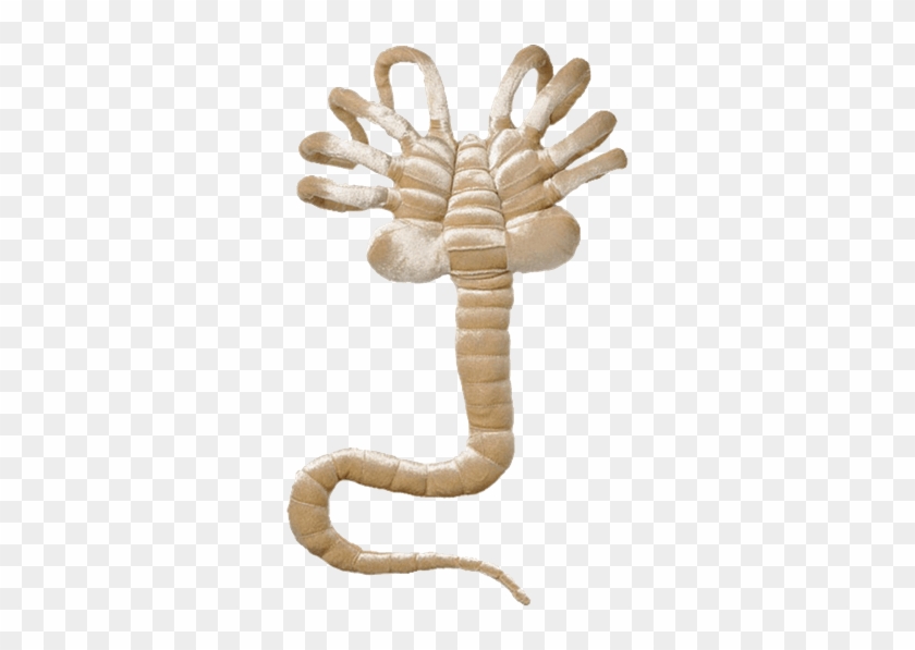 Alien Facehugger Png, Transparent Png - 600x600(#1361451) - PngFind