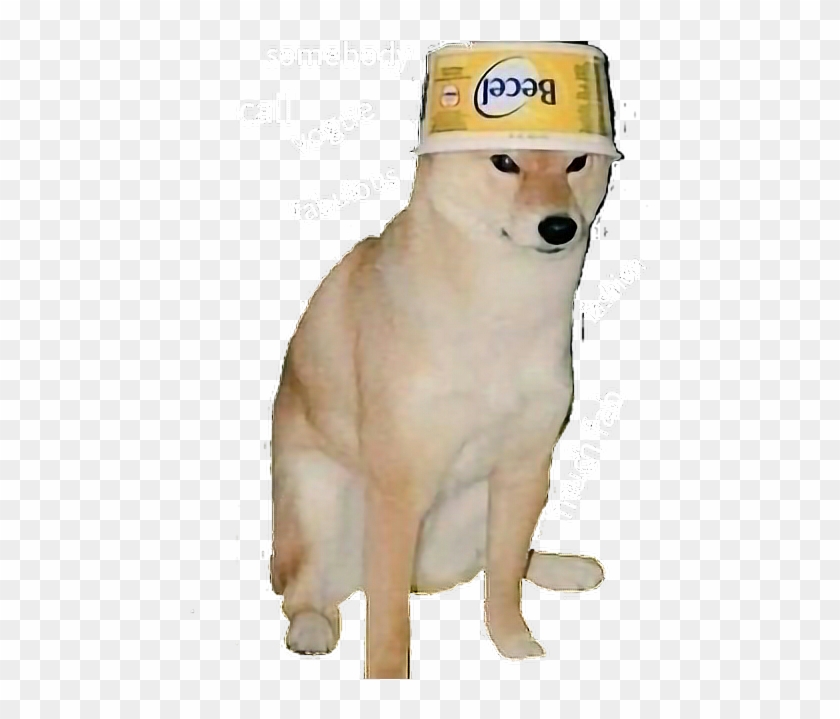 Doggo Png - Polar Bear, Transparent Png - 502x638(#1388727) - PngFind