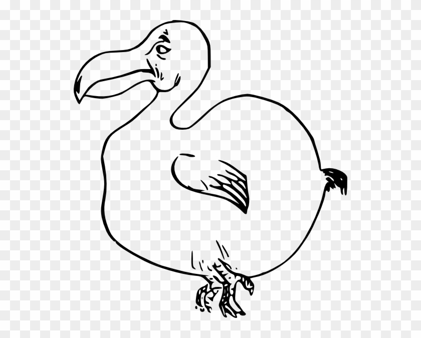 How To Set Use Dodo Bird Svg Vector, HD Png Download - 546x595(#1405863 ...