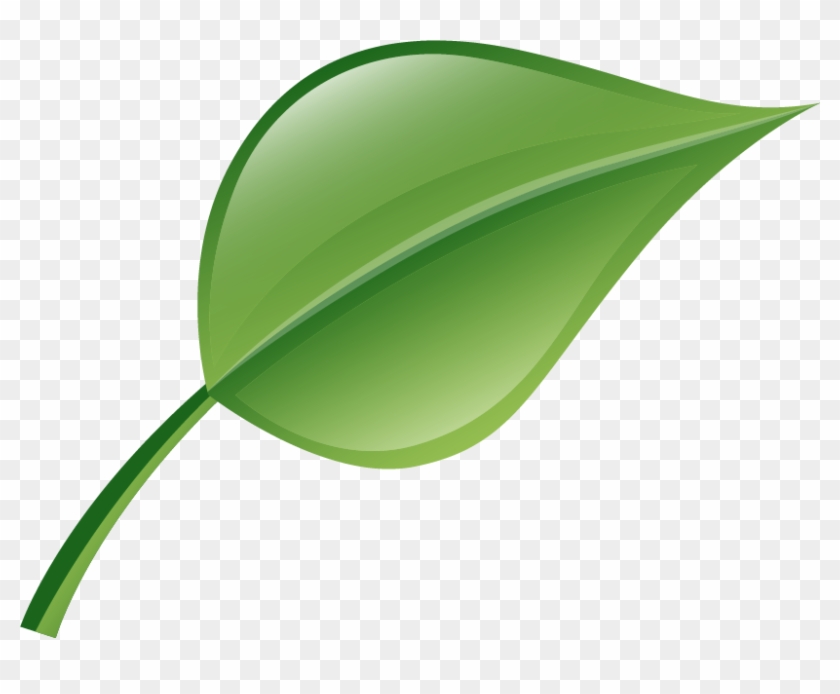 Leaf-icon, HD Png Download - 821x614(#1409427) - PngFind