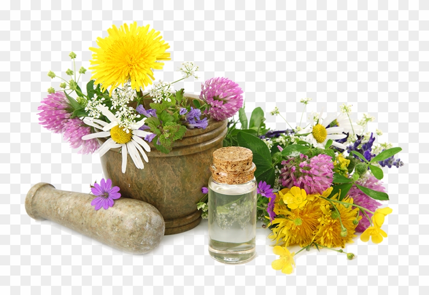 Enhance Your Relationship With The Natural World - Herbal Remedies Free ...
