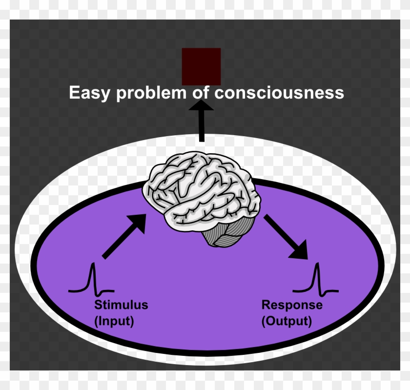 Easy Problem Of Consciousness - Functional Model Of Consciousness, HD ...