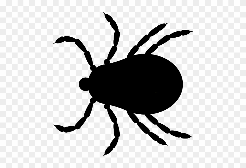 Clipart Bug Tic